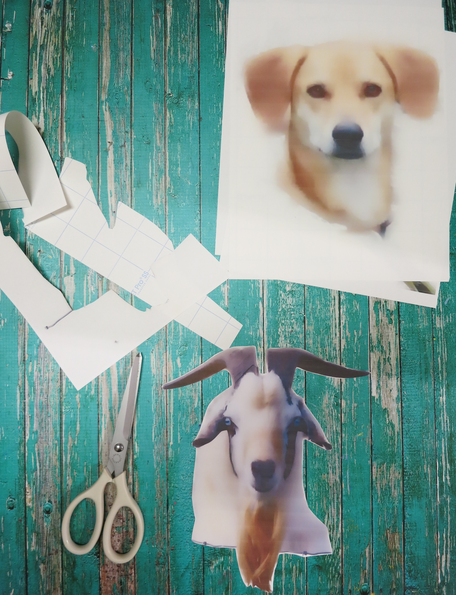 Pet Pillow Project: Crafting with Kids - Fairfield World Craft Projects